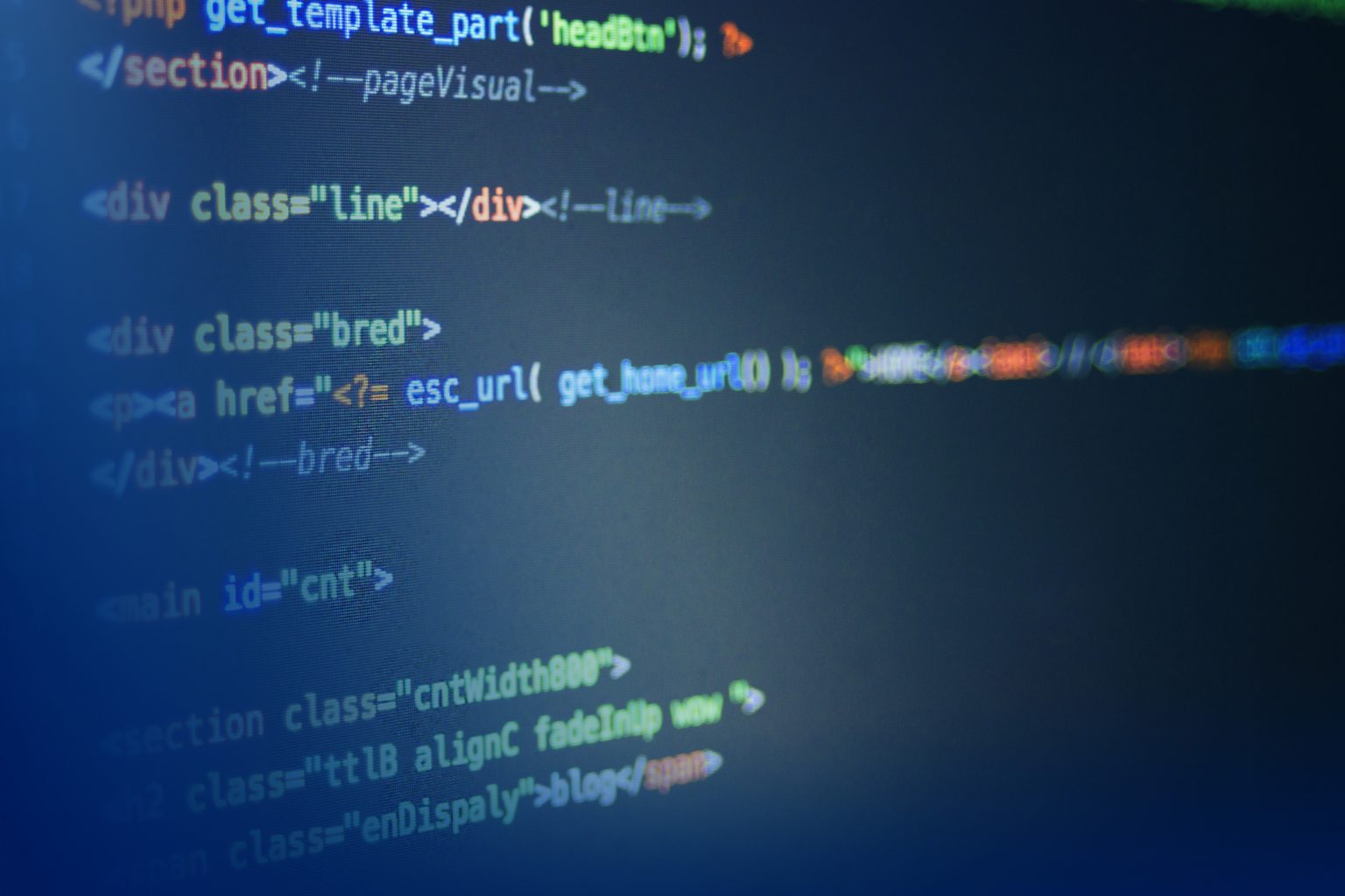 プログラミング、学んだ先に何がある？ 〜学習の意義や魅力、上達のコツとは〜 - 東大新聞オンライン